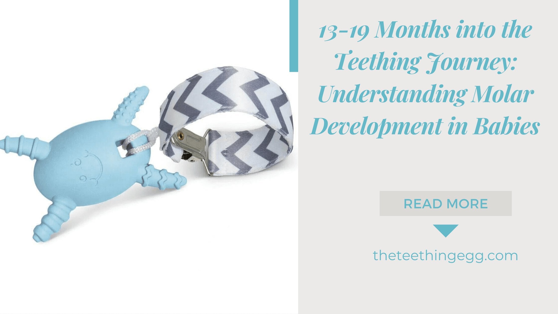 13-19 Months into the Teething Journey: Understanding Molar Developmen ...